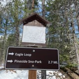 Big Tree Loop, Washington - 48 Reviews, Map | AllTrails