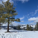 Colockum Road, Washington - 23 Reviews, Map | AllTrails