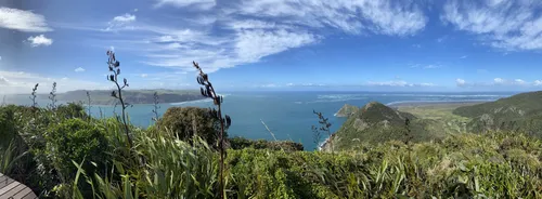 10 Best Trail Running Trails in Waitakere Ranges Regional Park | AllTrails