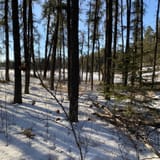 Mantario Hiking Trail, Manitoba, Canada - 221 Reviews, Map | AllTrails