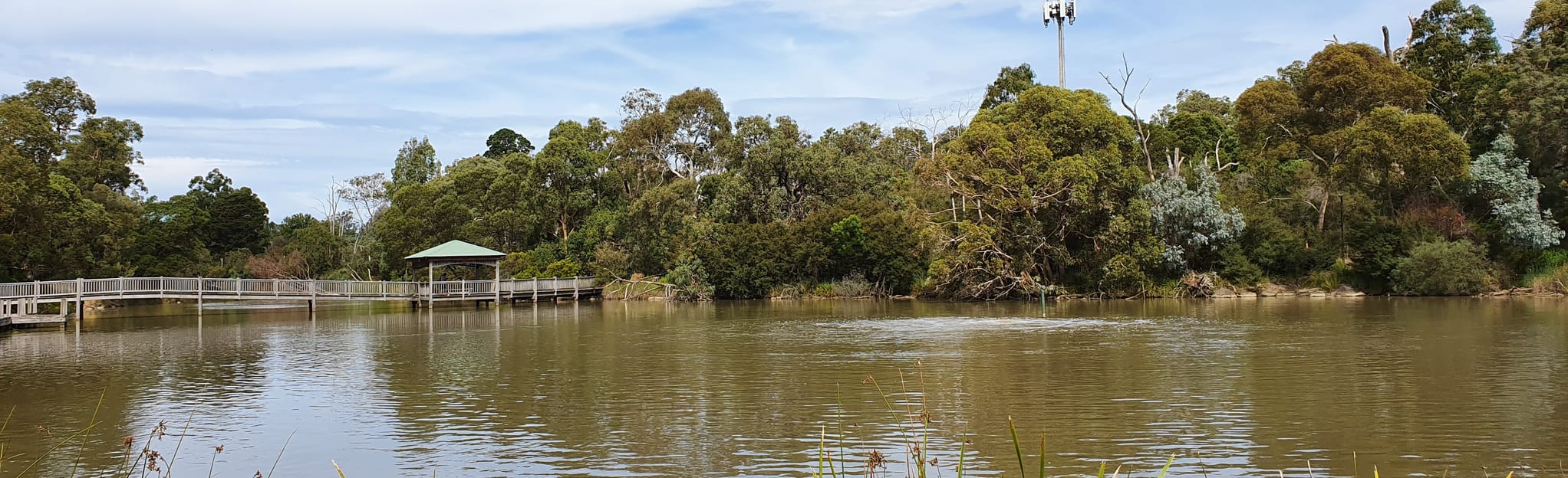 Ringwood Lake Trail: 69 Reviews, Map - Victoria, Australia | AllTrails