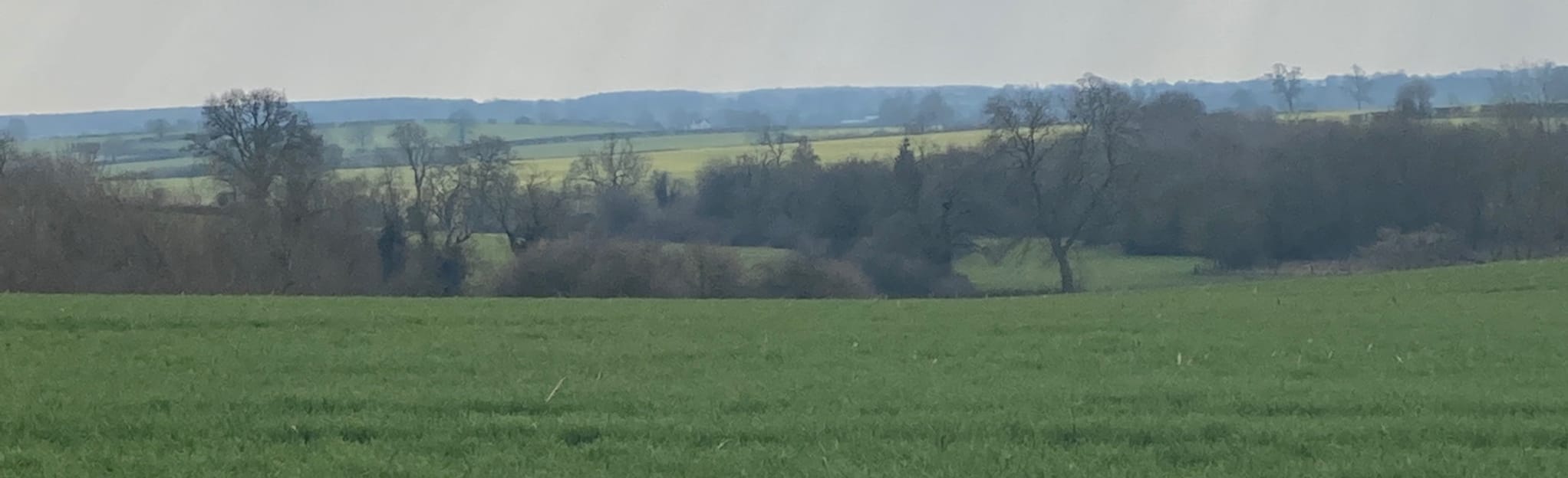 Blakesley and Plumpton Circular, Northamptonshire, England - 12 Reviews ...