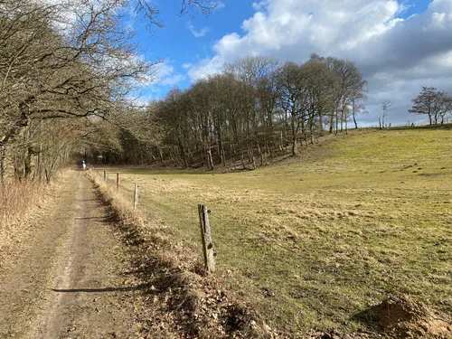 10 bedste ruter og vandreture i Randers | AllTrails