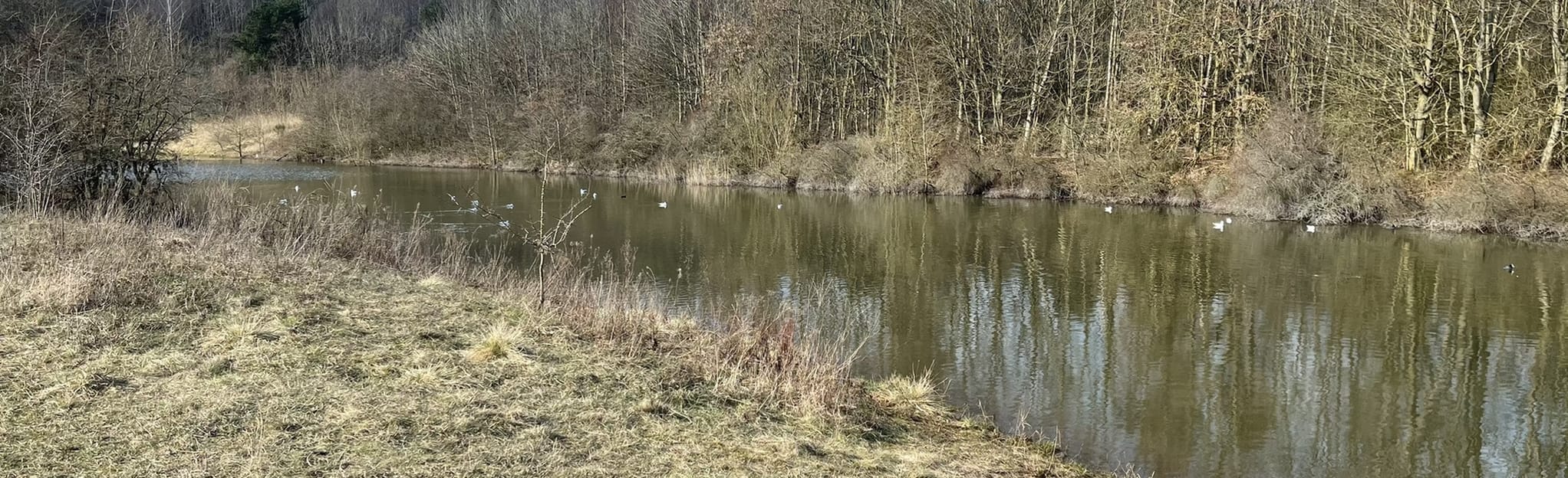 Brierley Forest Park and Teversal Circular: 168 Fotos - Nottinghamshire ...