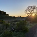 Turtleback Point Loop, California - 155 Reviews, Map | AllTrails