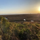 Turtleback Point Loop, California - 155 Reviews, Map | AllTrails