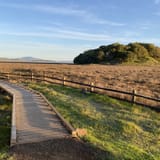 Turtleback Point Loop, California - 155 Reviews, Map | AllTrails