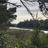 Tahkenitch Creek Trail, Oregon - 151 Reviews, Map | AllTrails