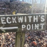 Beckwith Point Trail, Tennessee - 156 Reviews, Map | AllTrails