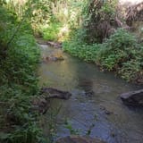 Oloolua Nature Trail, Rift Valley, Kenya - 29 Reviews, Map | AllTrails