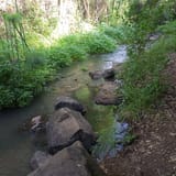 Oloolua Nature Trail, Rift Valley, Kenya - 29 Reviews, Map | AllTrails
