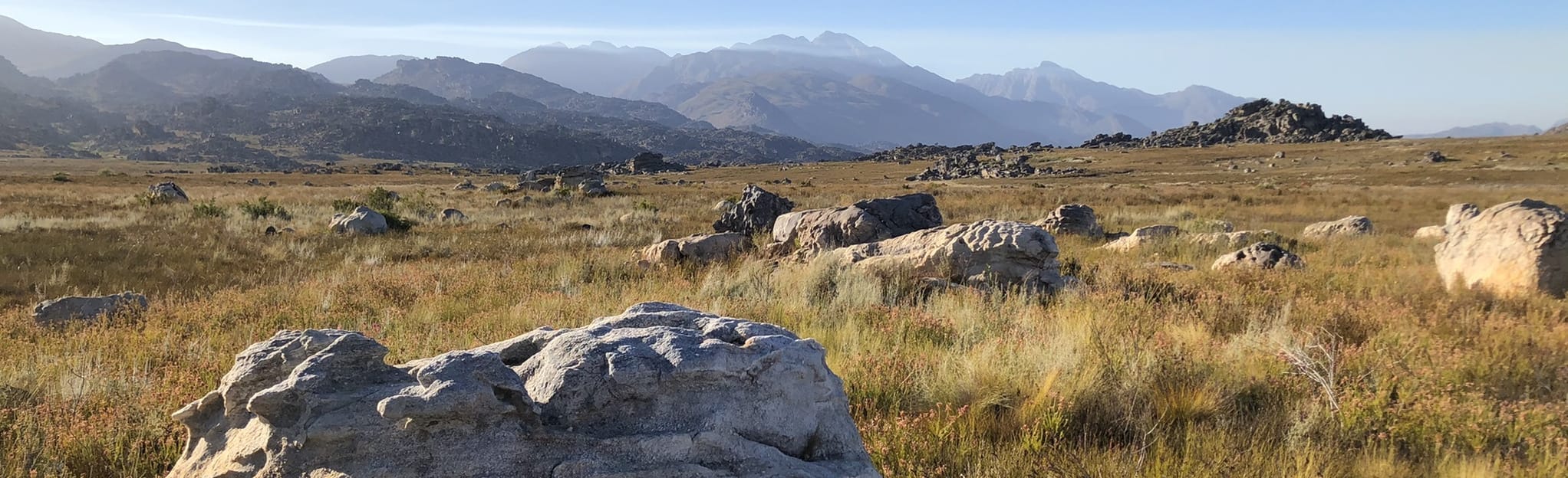 Disa Pool Trail: 1 Reviews, Map - Western Cape, South Africa | AllTrails