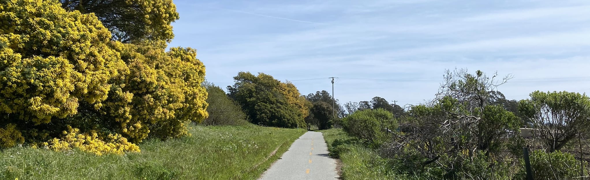 Wilder Ranch Bike Path, California - 249 Reviews, Map | AllTrails