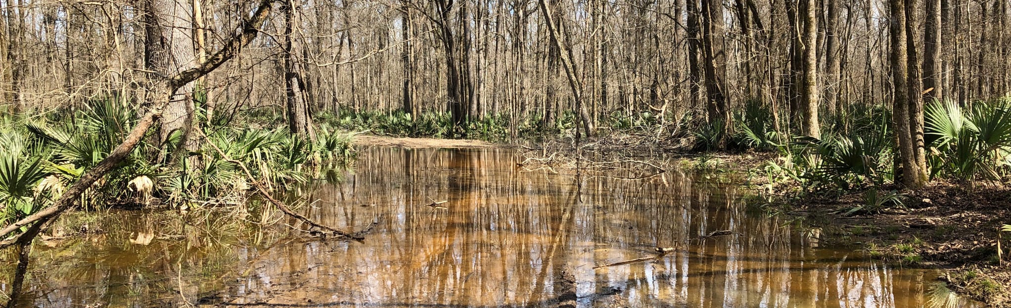 BBU Yellow, Green, Grey Loop, Louisiana - 4 Reviews, Map | AllTrails