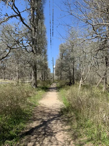 Best Hikes and Trails in Stephen F. Austin State Park | AllTrails