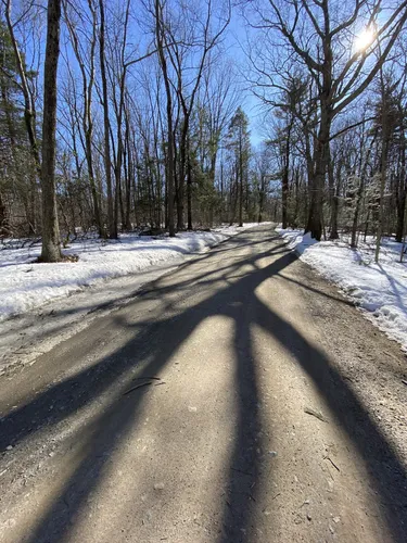 Best Hikes and Trails in Nipmuck State Forest | AllTrails