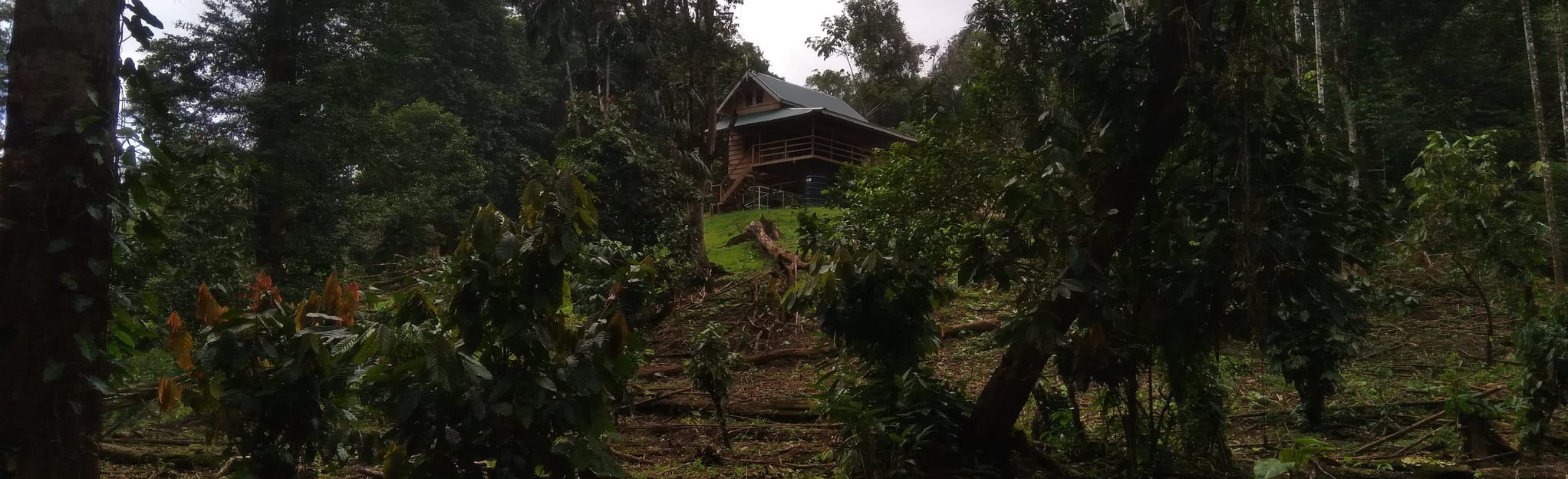 Sobo and Double River Waterfall: 22 fotos - Tunapuna Piarco, Trinidad e ...