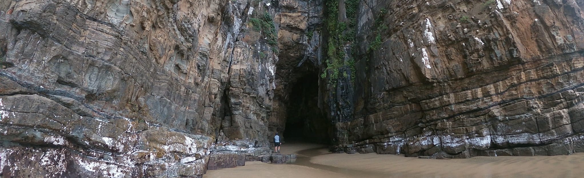 Cathedral Caves Walk, Southland, New Zealand - 47 Reviews, Map | AllTrails