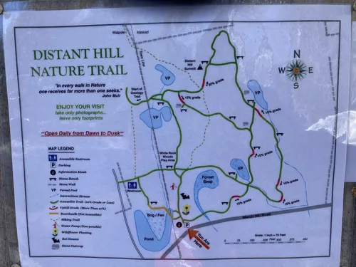 2023 Best Bird Watching Trails in Walpole | AllTrails