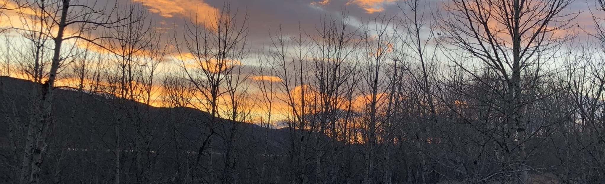 Thompson River Trail from Aviation Way: 26 Reviews, Map - British ...