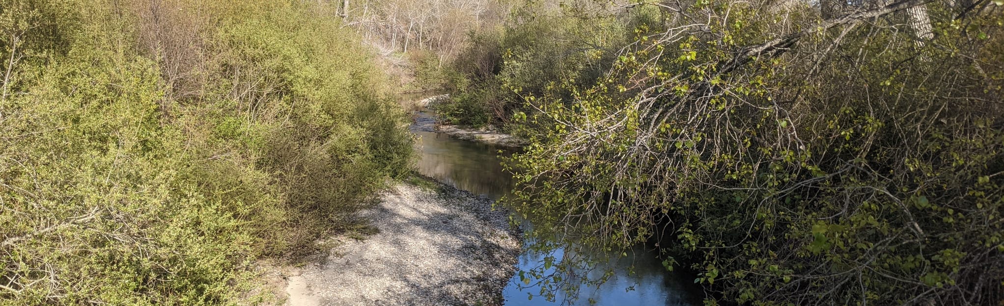 Palo Corona River Loop | Map, Guide - California | AllTrails