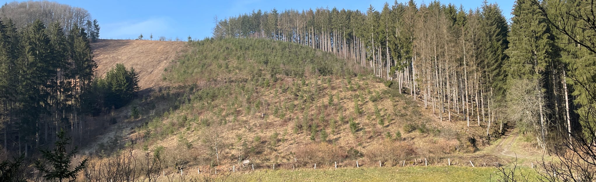 Auto-Pédestre Rambrouch: 6 Reviews, Map - Redange, Luxembourg | AllTrails