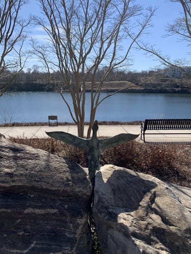 Best Hikes and Trails in Bluestone Park | AllTrails