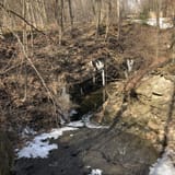 North Chagrin All Purpose Trail, Ohio - 230 Reviews, Map | AllTrails