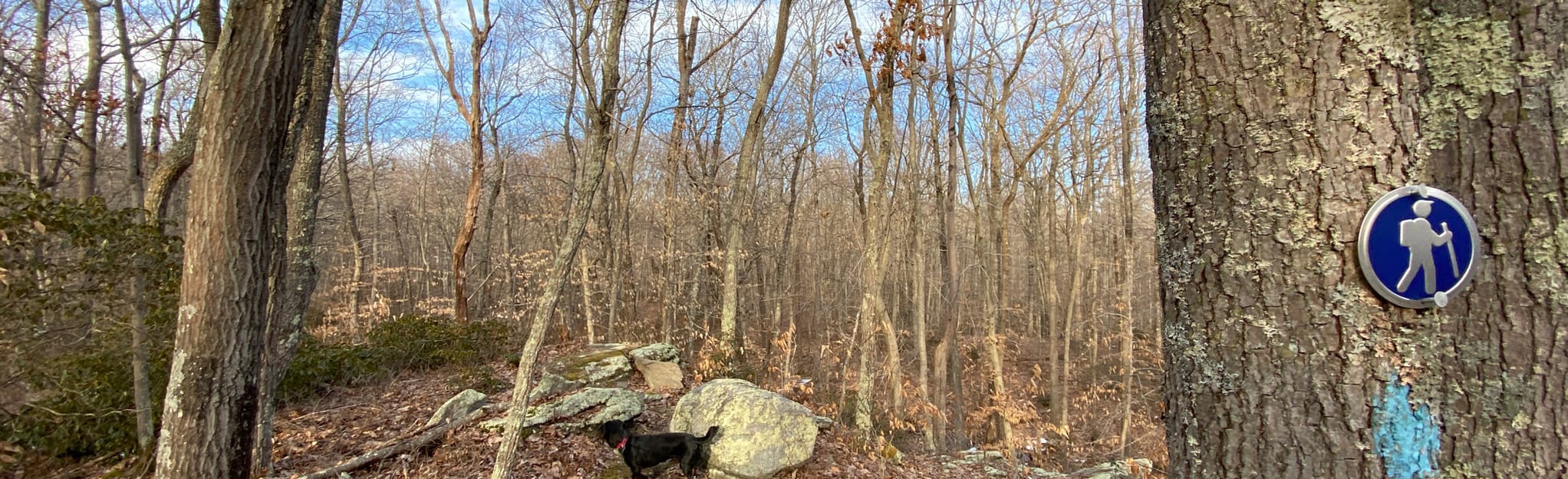 Neck River Uplands North Trail: Blue Loop, Connecticut - 30 Reviews ...