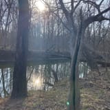 Cub Run Stream Valley Trail, Virginia - 370 Reviews, Map | AllTrails