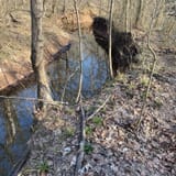 Cub Run Stream Valley Trail, Virginia - 386 Reviews, Map | AllTrails