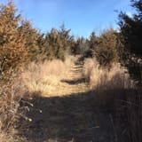 Perry Lake Hiking Trail, Kansas - 109 Reviews, Map | AllTrails