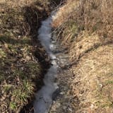 Perry Lake Hiking Trail, Kansas - 109 Reviews, Map | AllTrails