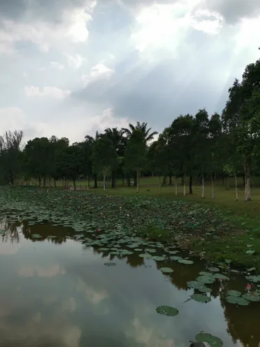 Best Hikes and Trails in Ara Damansara Park | AllTrails