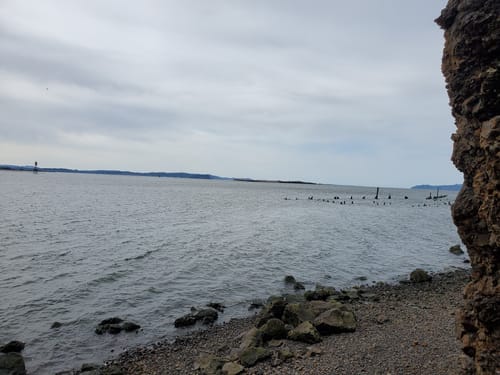 Best Hikes and Trails in Grays River | AllTrails