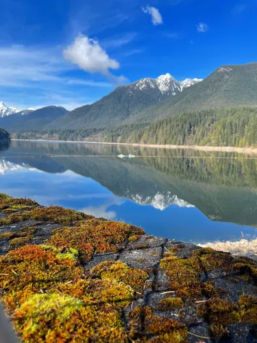 10 Best Rails Trails in British Columbia | AllTrails