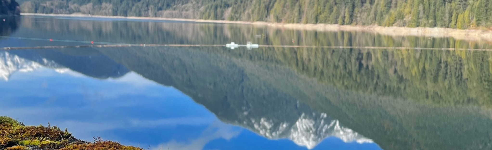 Cleveland Dam and Second Canyon Viewpoint Loop: 505 Reviews, Map ...