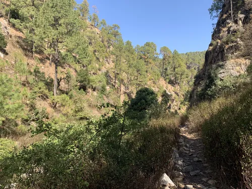 Best Walking Trails in Garud | AllTrails