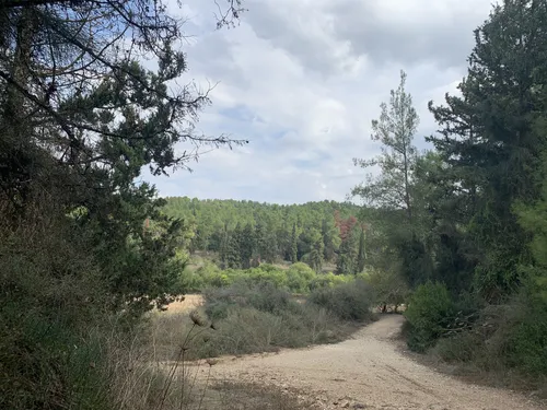 Best Hikes and Trails in Eshtaol Forest | AllTrails