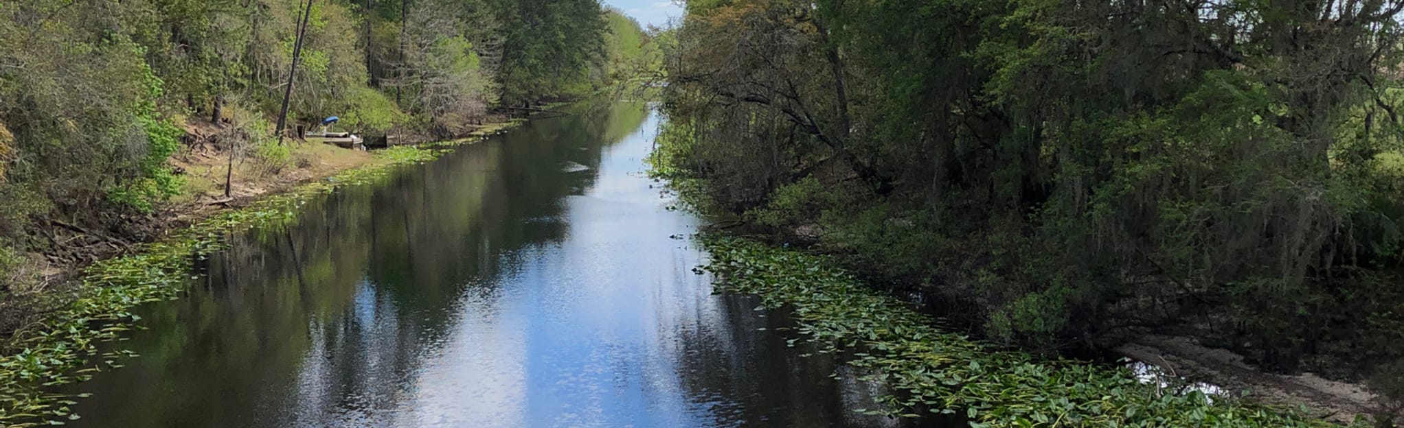 Levee Trail, Florida - 125 Reviews, Map | AllTrails