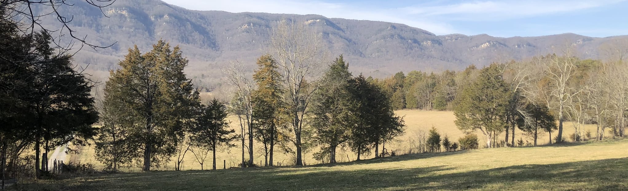 Indian Ridge Trail: 21 Reviews, Map - Virginia | AllTrails