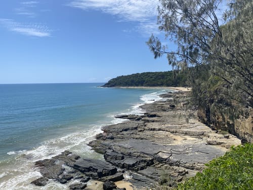 2023 Best 10 Walking Trails in Noosa Shire | AllTrails