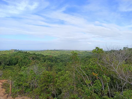 Best Hikes and Trails in Bukit Shahbandar Forest Recreation Park ...