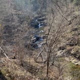 Cheaha Wilderness 30 Mile Loop, Alabama - 75 Reviews, Map | AllTrails