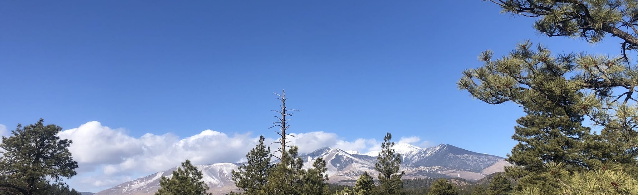 Cinders Hill OHV Super Loop | Map, Guide - Arizona | AllTrails