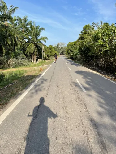 Best Forest Trails in Bandar Bera | AllTrails