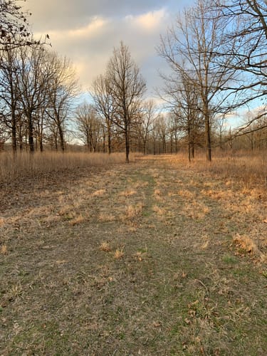 Best Hikes and Trails in Talbot Conservation Area | AllTrails