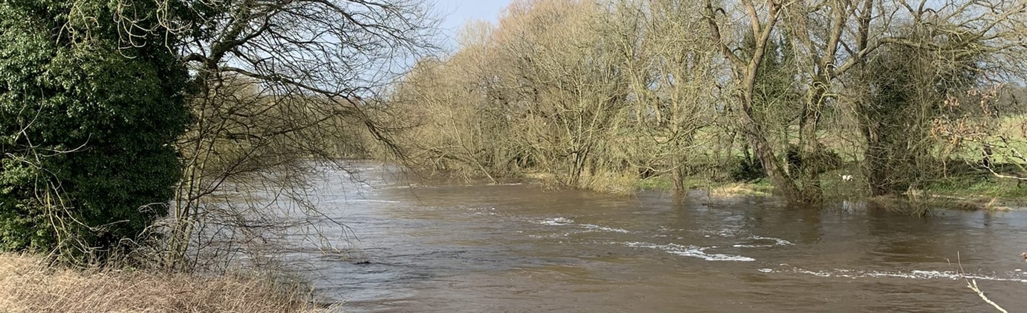 Ripon Rotary Sanctuary Walk: 4 Reviews, Map - North Yorkshire, England ...