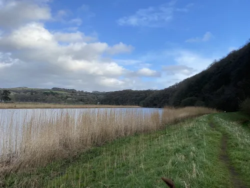 10 Best Views Trails in Tamar Valley National Landscape (AONB) | AllTrails