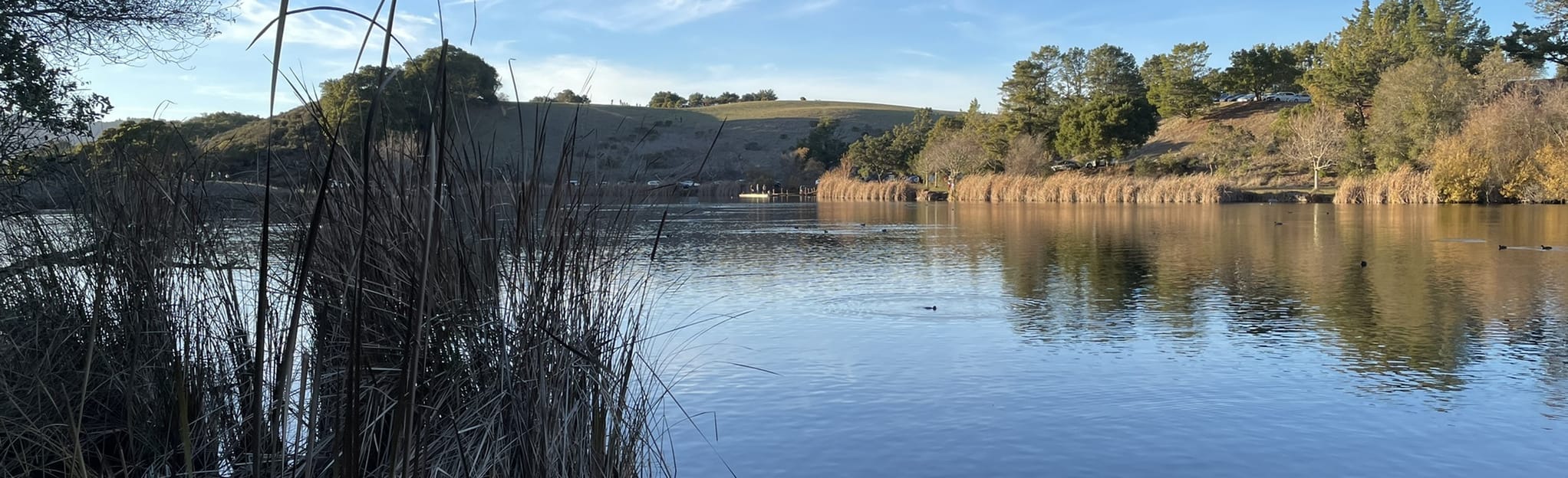 Toyon Trail and Woodrat Trail: 344 Reviews, Map - California | AllTrails